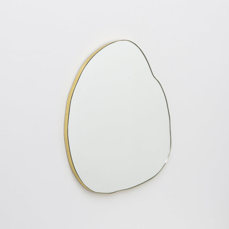 Ergon™ Organic Shaped Freeform Mirror with Modern Solid Brass Frame ...